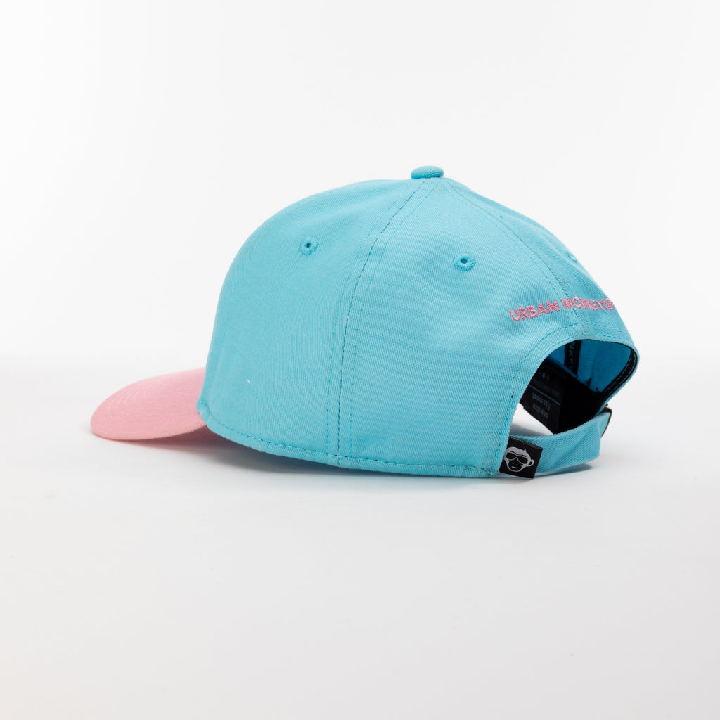 Buy Baby Blue + Baby Pink Bubblegum Cloud Baseball Cap Online – Urban ...